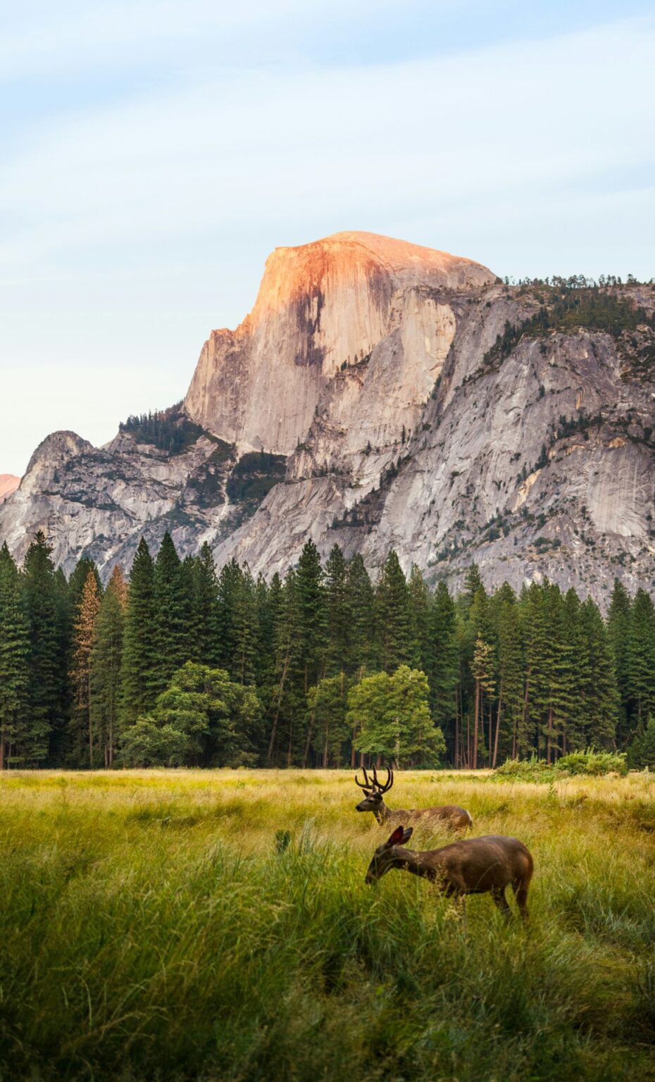 Exploring Yosemite National Park, California: Best Trails, Views ...