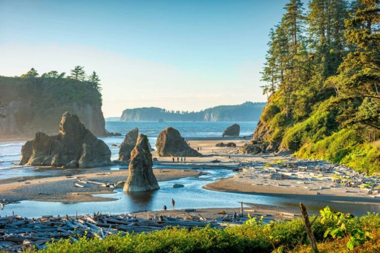 Olympic National Park From Rainforests To Rugged Coastlines Bellas