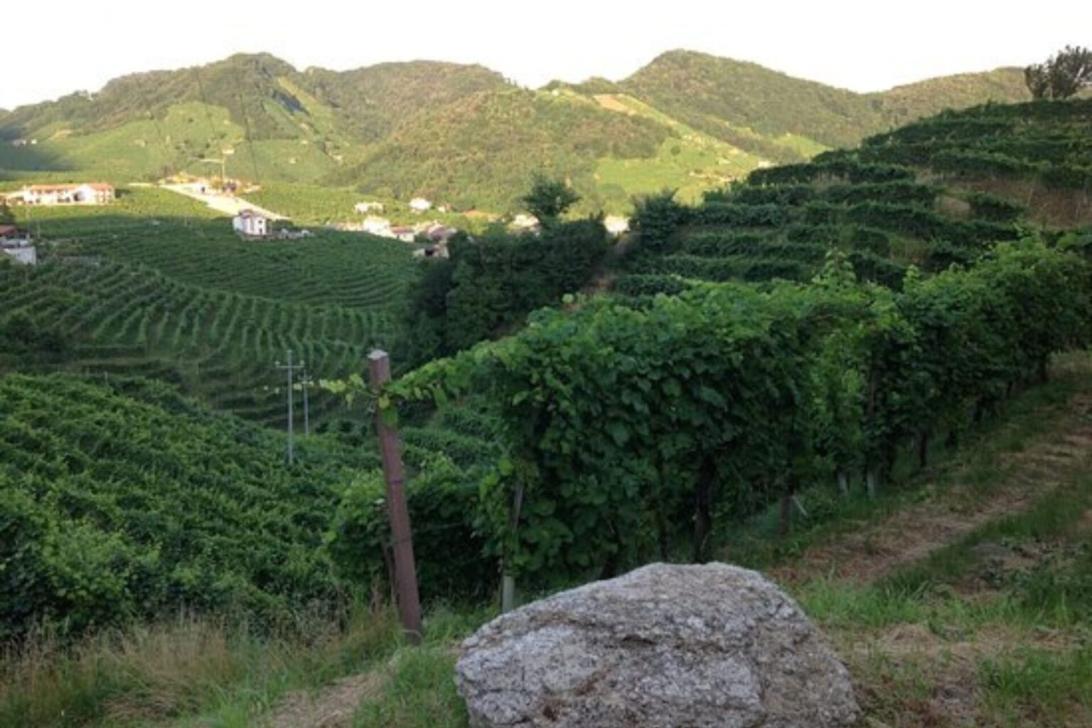 The Complete Guide to Prosecco Wine Country: Tastings, Tours and Views ...