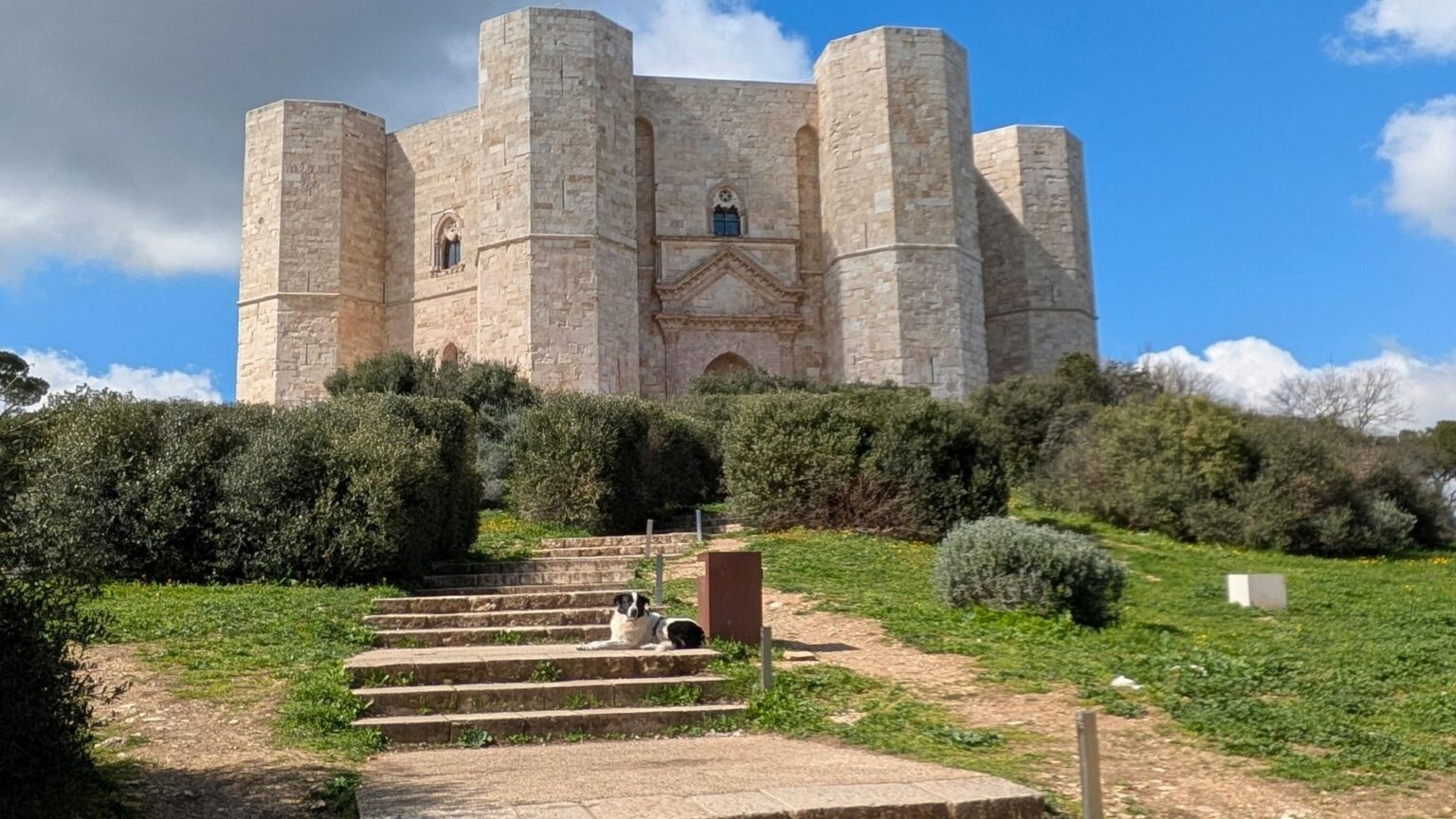 Octagonal Wonder: The Mathematical Mystery of Castel del Monte - Bellas ...