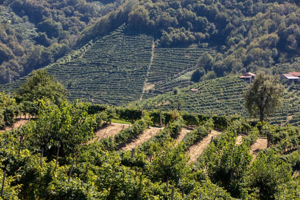 The Complete Guide to Prosecco Wine Country: Tastings, Tours and Views ...