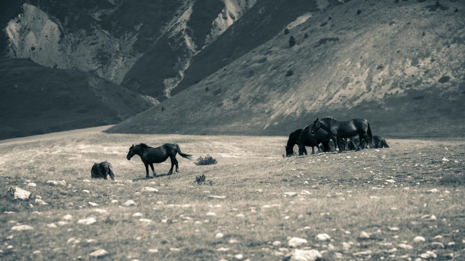 Italy's Highest Peak South of the Alps: Exploring Wild Gran Sasso ...