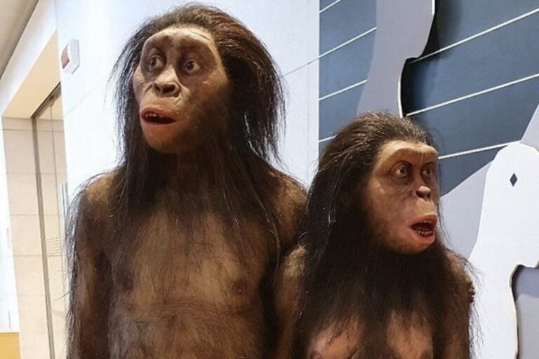 Beyond Exhibits: How Trento's MUSE Science Museum Brings Nature to Life ...