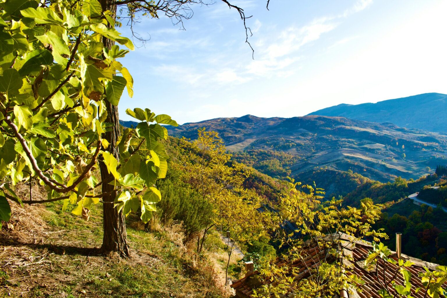 Highest Village in Basilicata: Stone Houses Carved into Mountains ...