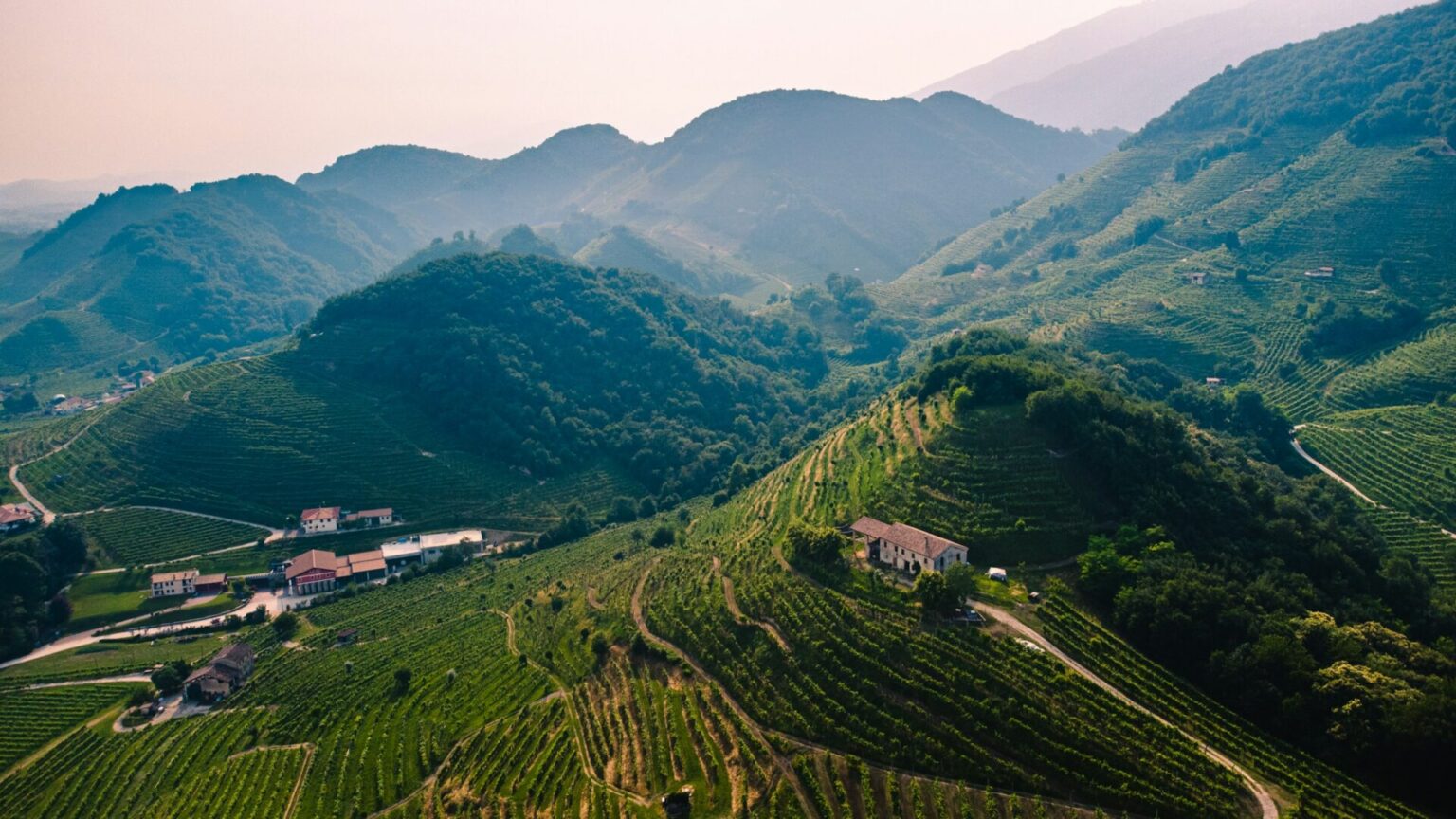 Vineyard Hiking in the Prosecco Hills: Trails With Sparkling Rewards ...