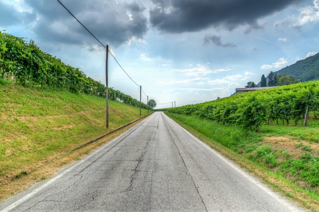 Vineyard Hiking in the Prosecco Hills: Trails With Sparkling Rewards ...