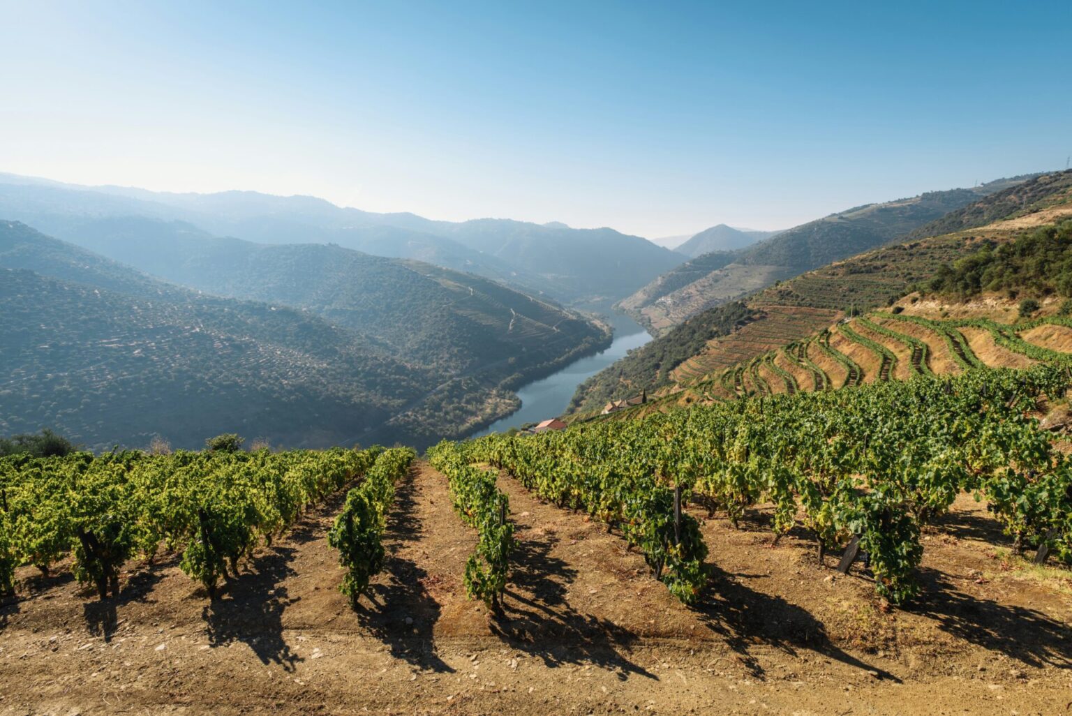 Wine Tasting in the Douro Valley: My Best Vineyard & Scenic Stops ...