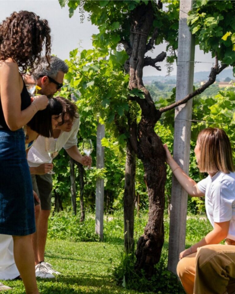 The Complete Guide to Prosecco Wine Country: Tastings, Tours and Views ...