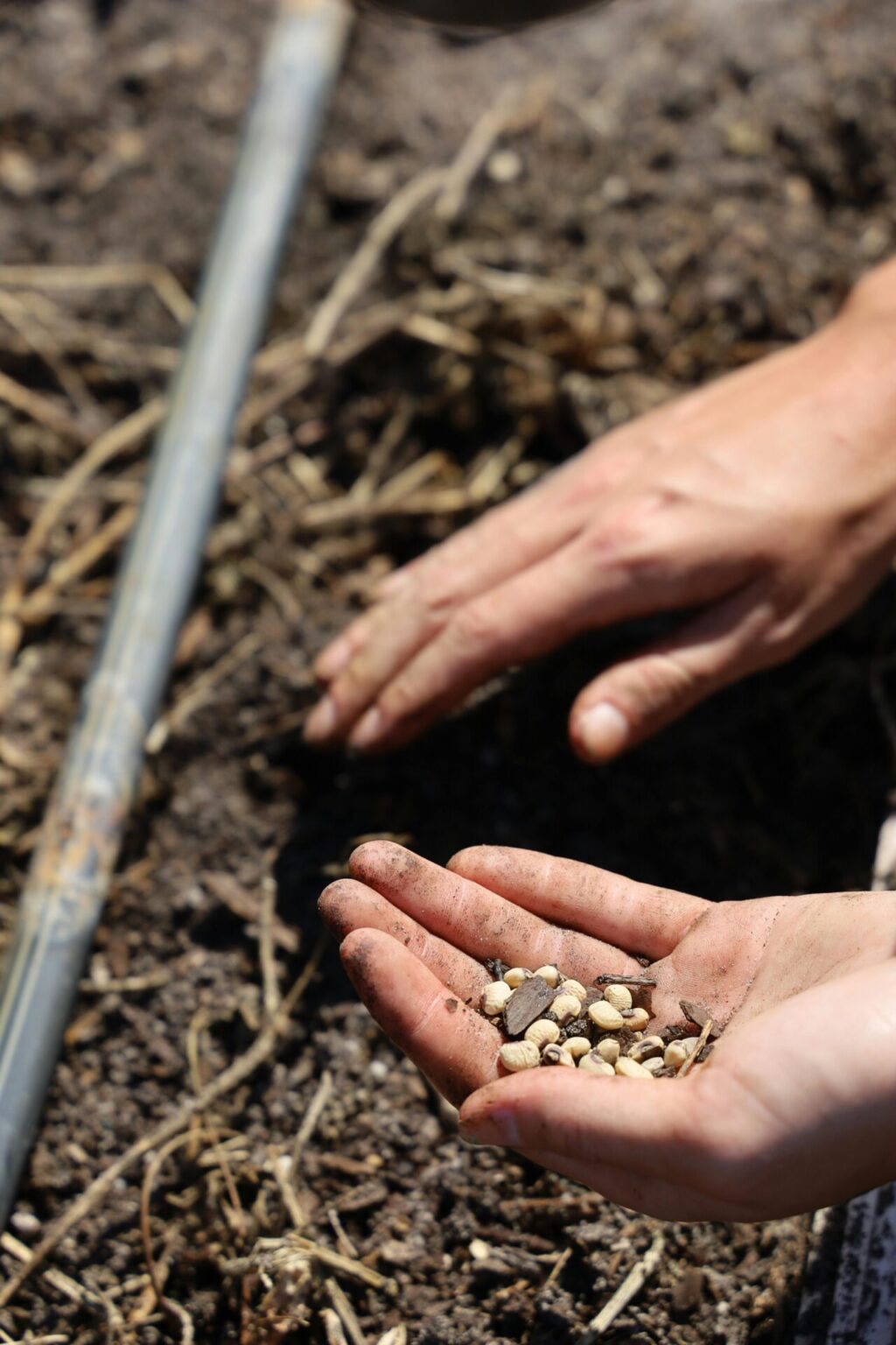 The Bean Fields and Byzantine Hermitages of Prespa: Uncovering the ...