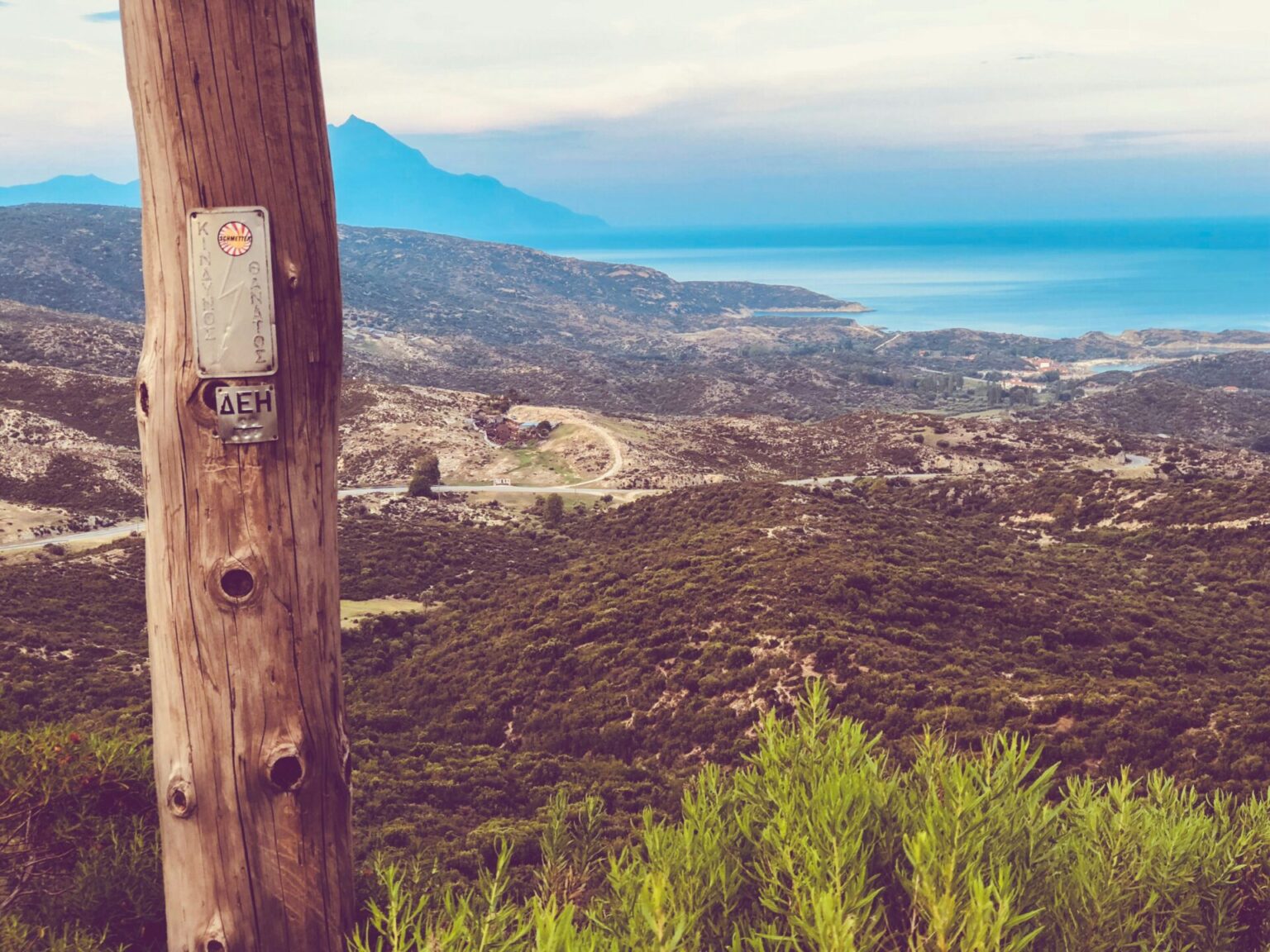 More Than Just Sun and Sand: Discovering Chalkidiki's Lush Pine Forests ...