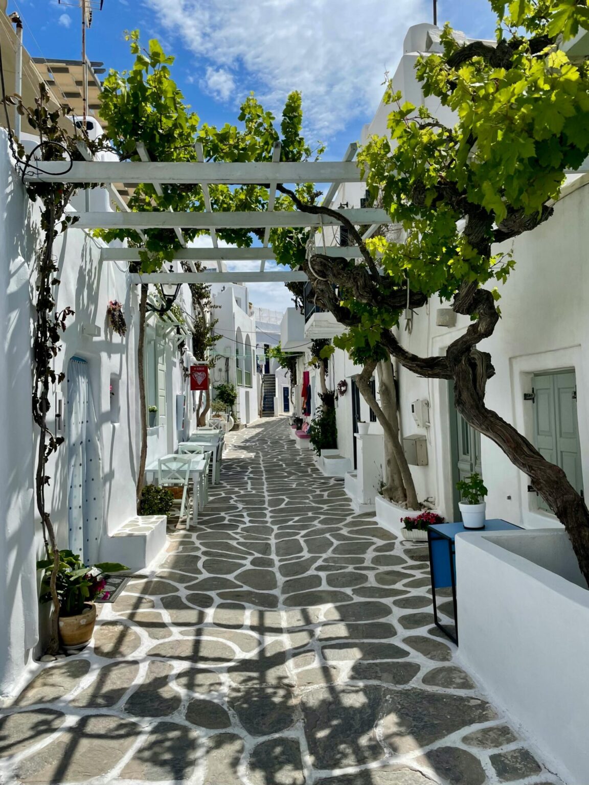 Naousa, Imathia: My Toast to Xinomavro Wine in the City of Heroes and ...