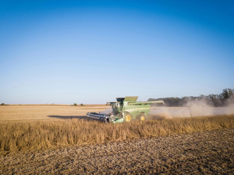 The Bean Fields and Byzantine Hermitages of Prespa: Uncovering the ...