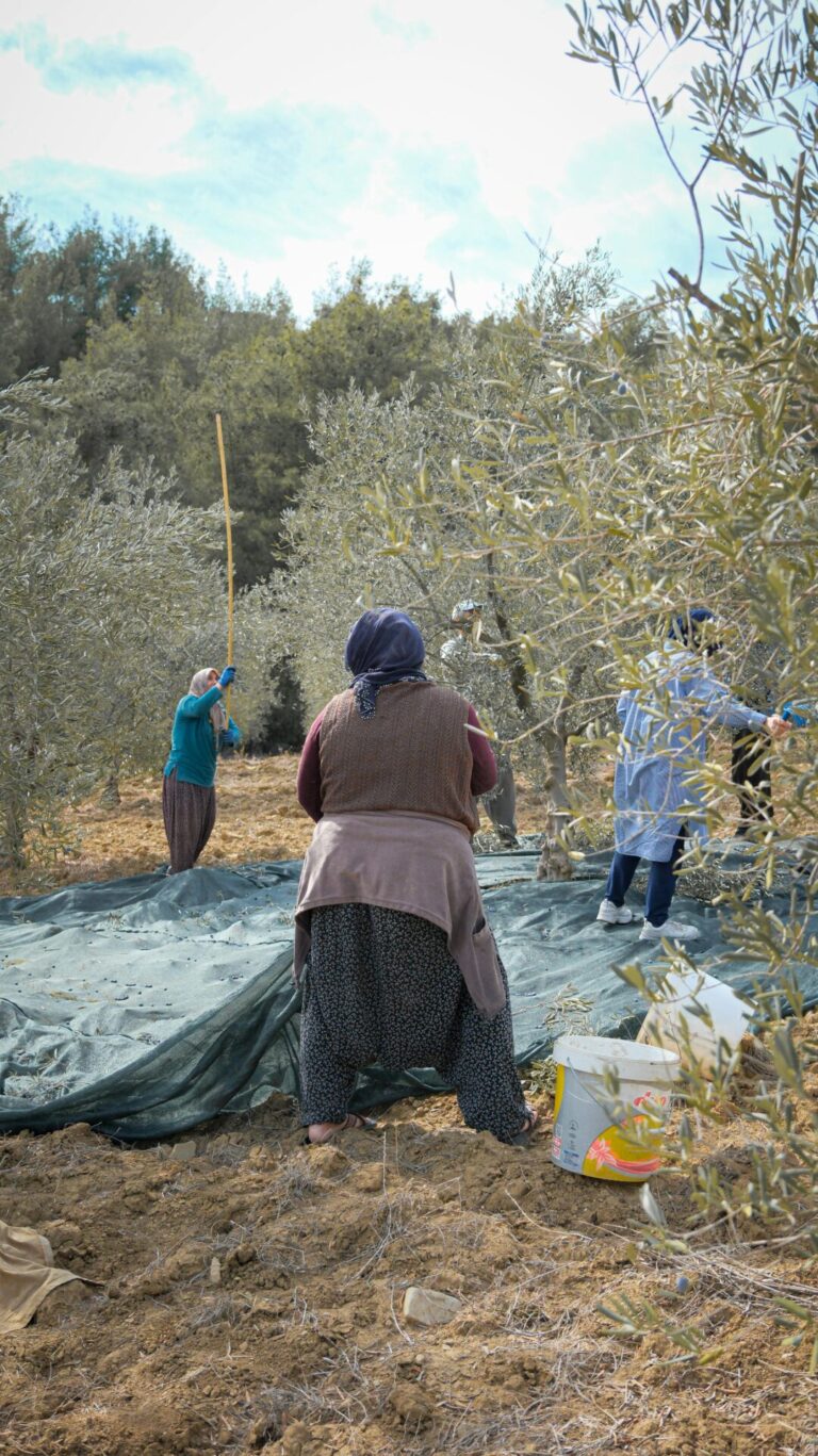 Beyond the Warrior Myth: Discovering the Olive Groves and Warm Heart of ...