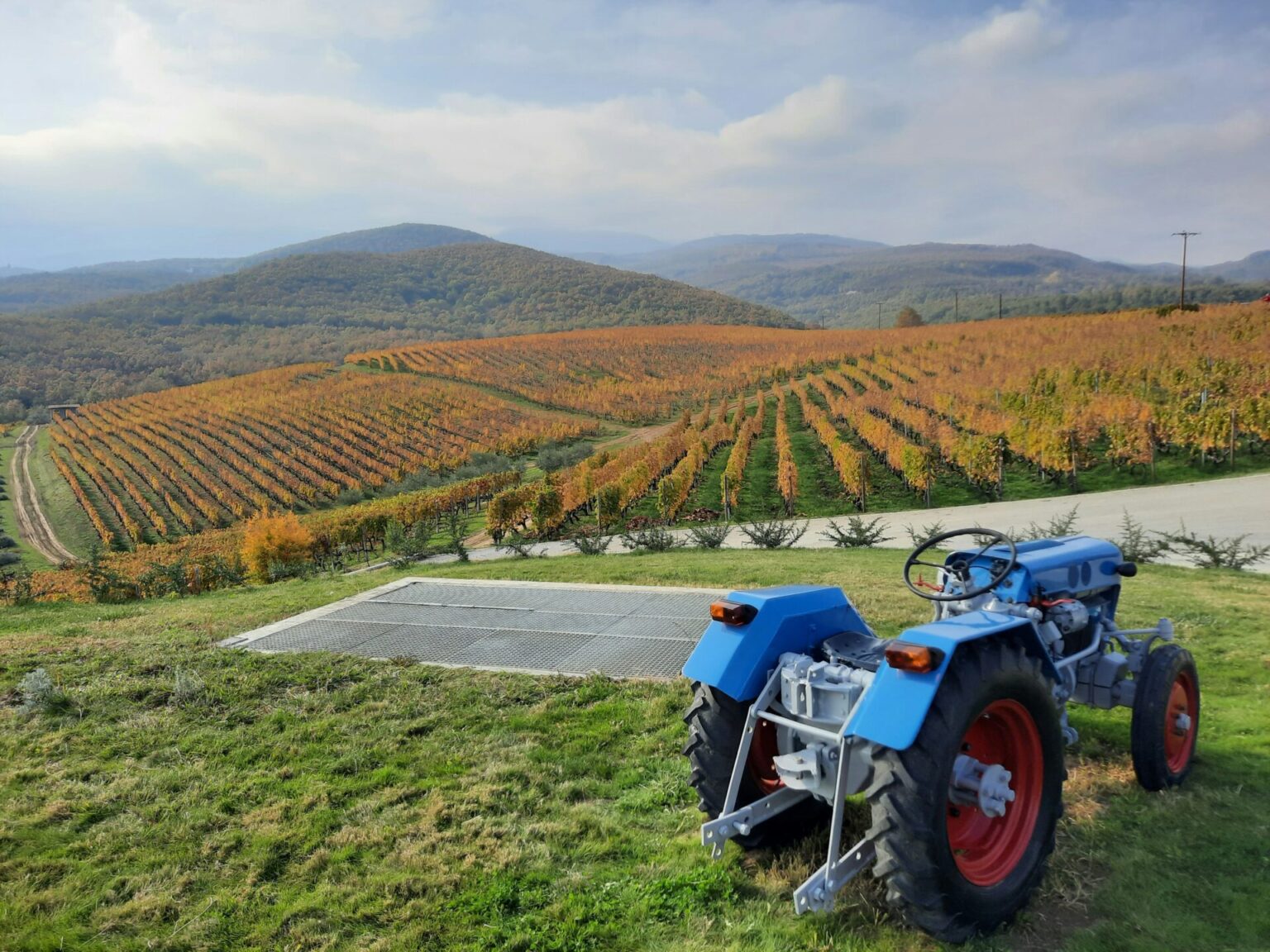Naousa, Imathia: My Toast to Xinomavro Wine in the City of Heroes and ...