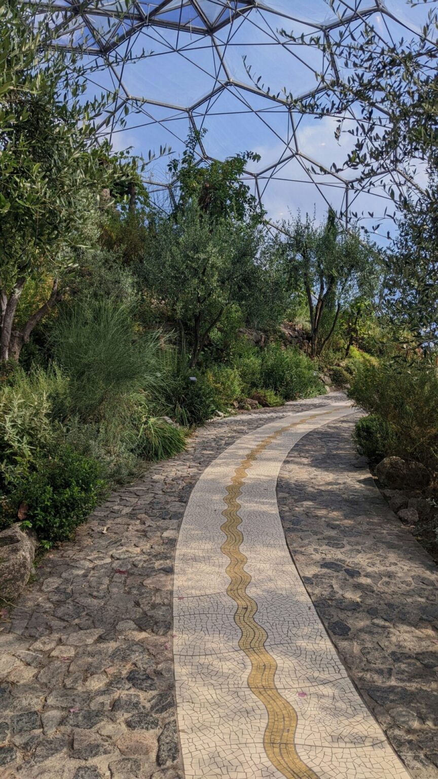 Is the Eden Project Worth the Price? My Honest Review and Tips for ...