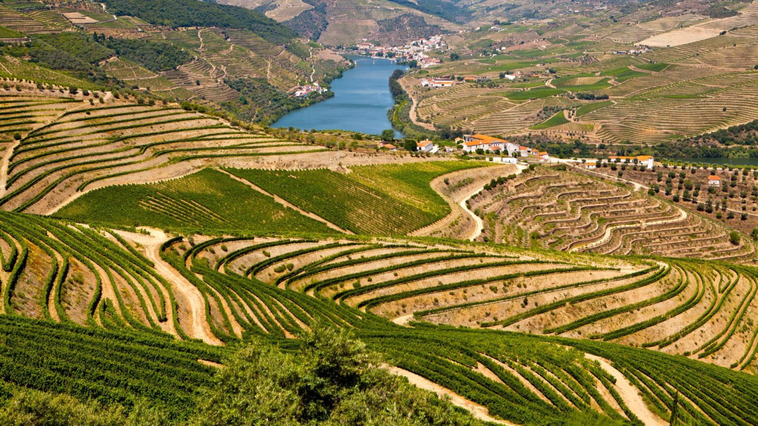 Douro Valley: A Wine Lover's Dream Destination - Bellas Bold Adventures