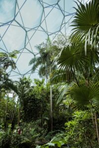 Stepping into Another World at the Eden Project: My Journey Through ...