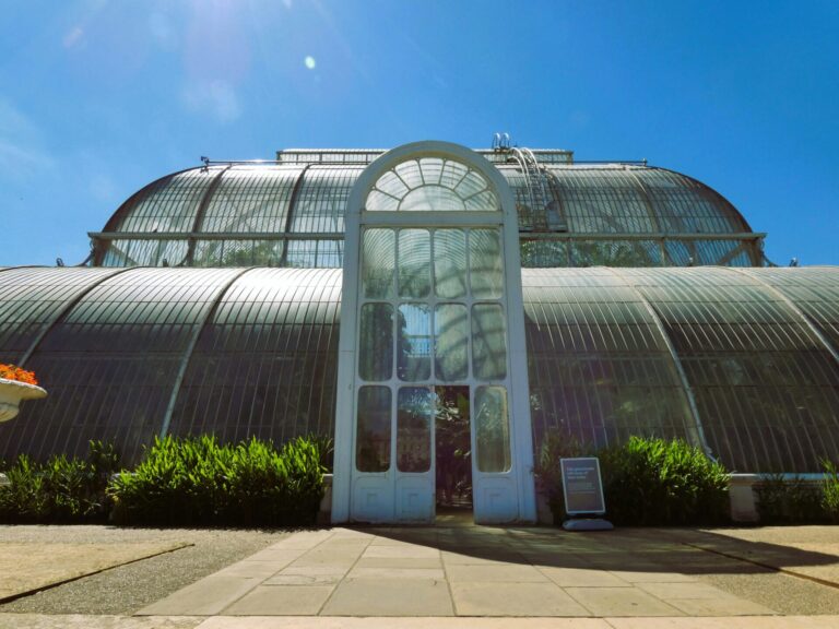 Kew Gardens: My Breathtaking Journey Through a World of Plants – From ...