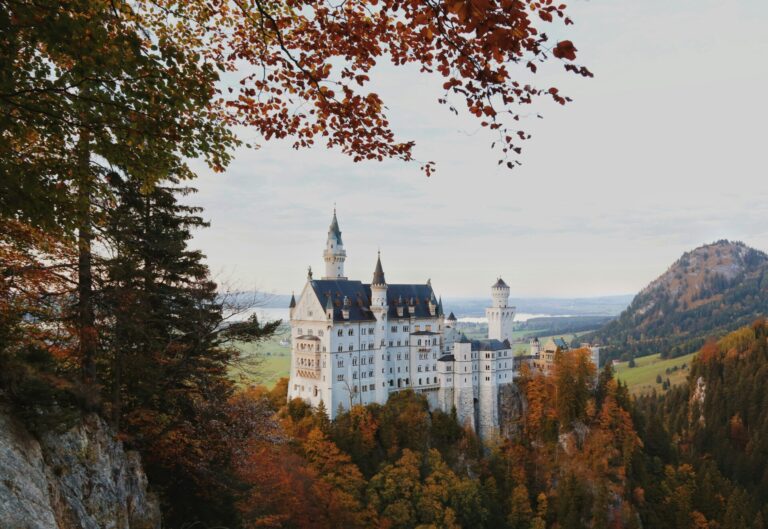 Autumn in Germany: My Guide to Golden Forests (Black Forest!), Wine ...