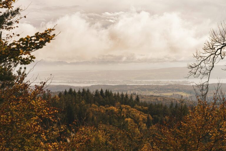 My Top 7 "Must-Do" Activities Around Germany's Lake Constance (From ...