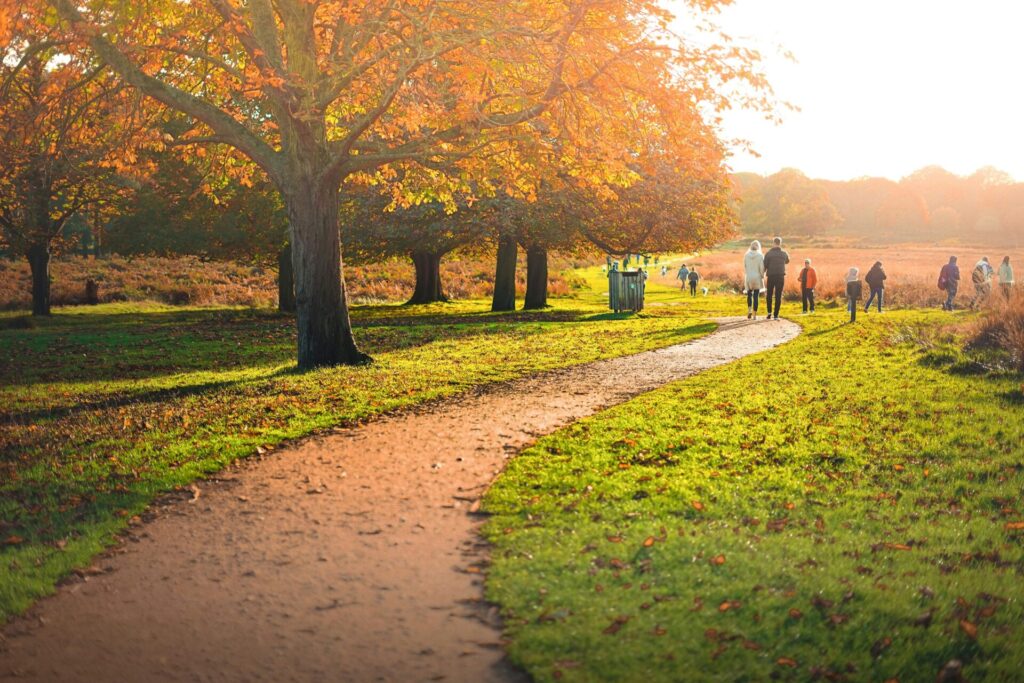 Spotting Wild Deer in Richmond Park: My Escape to London's Largest ...