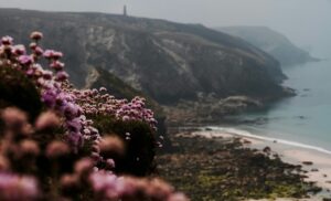5 Ways Cornwall Surprised Me (Beyond the Stunning Beaches!) – Think Art ...
