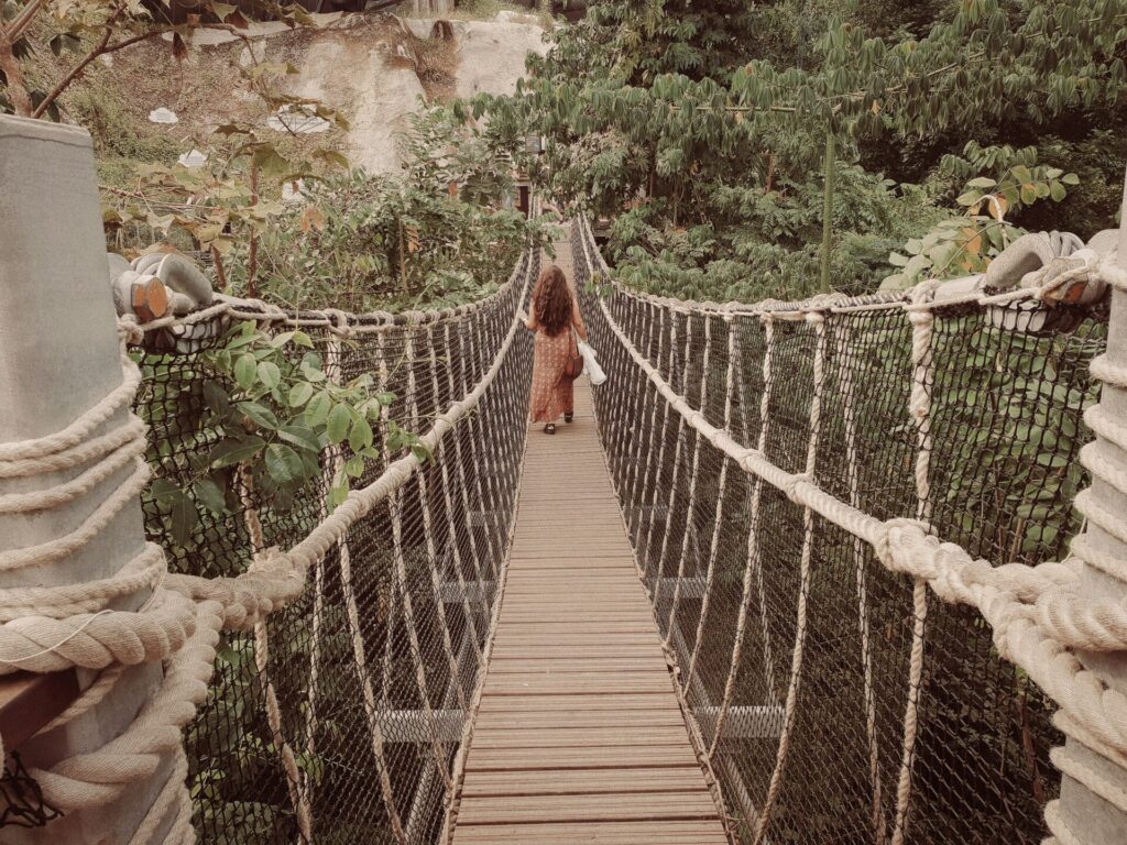 Is the Eden Project Worth the Price? My Honest Review and Tips for ...