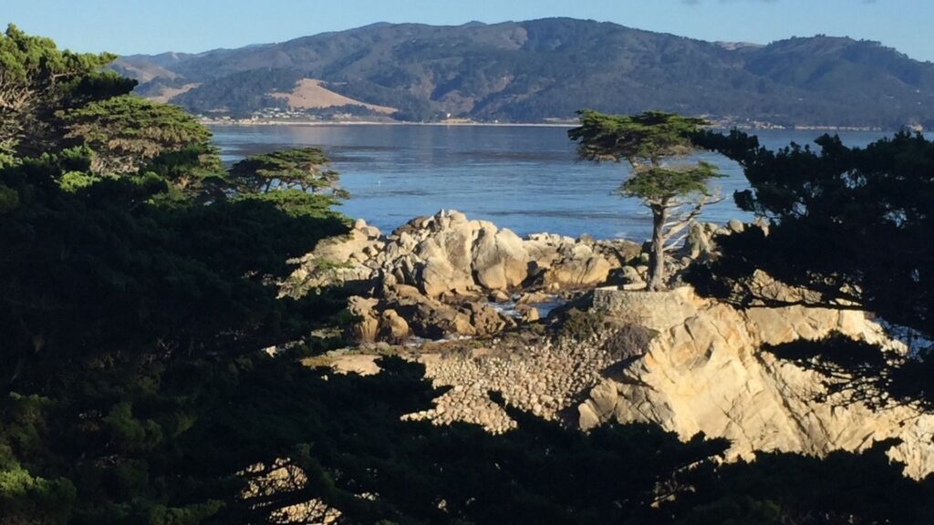 Is the 17-Mile Drive in Pebble Beach Worth the Entrance Fee? My Scenic ...