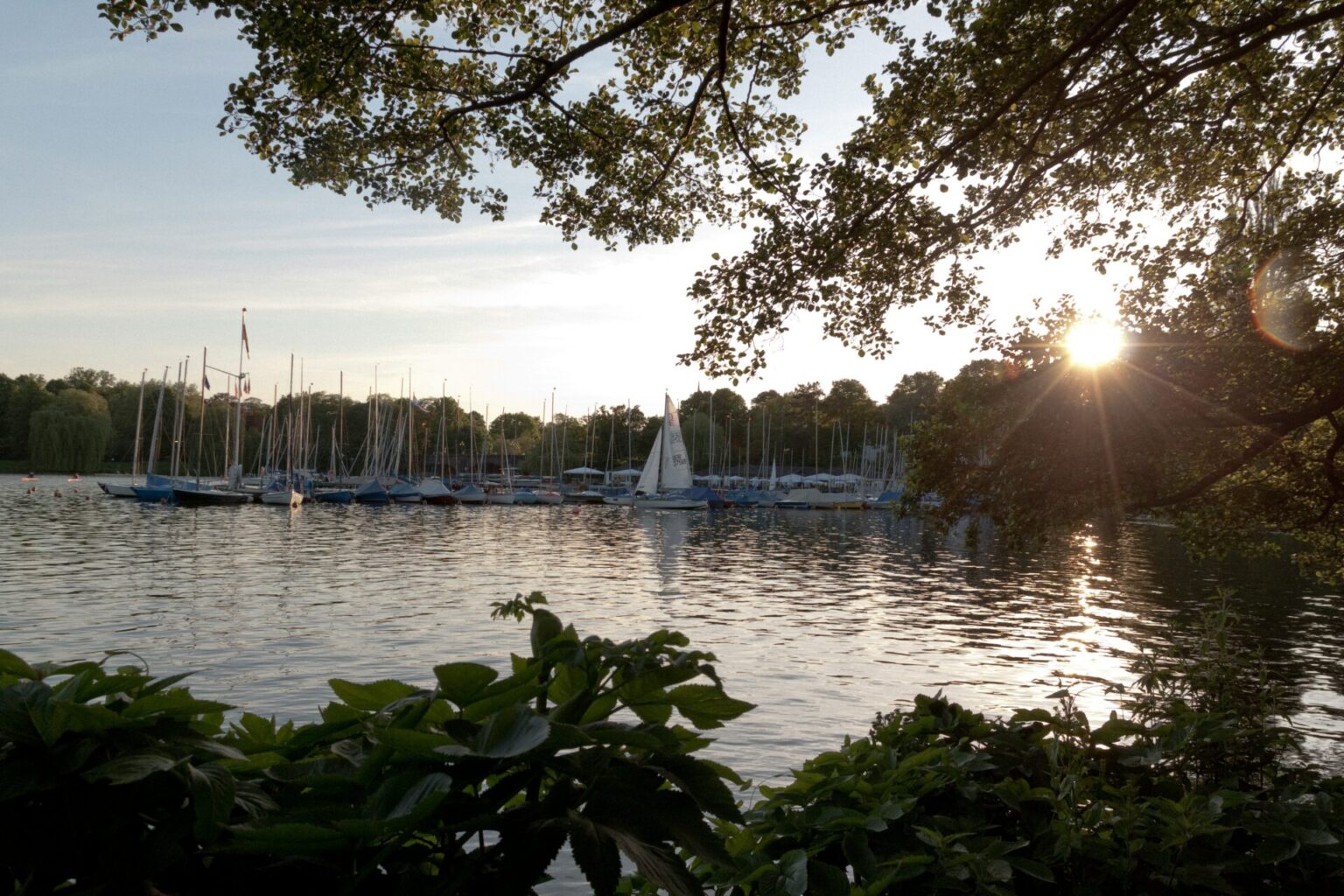 Navigating Hamburg's Waterways: My Top 3 Ways to Explore the City by ...