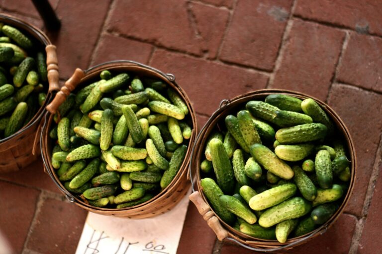 Tasting Spreewald Gherkins (Gurken): My Crunchy, Tangy, and ...