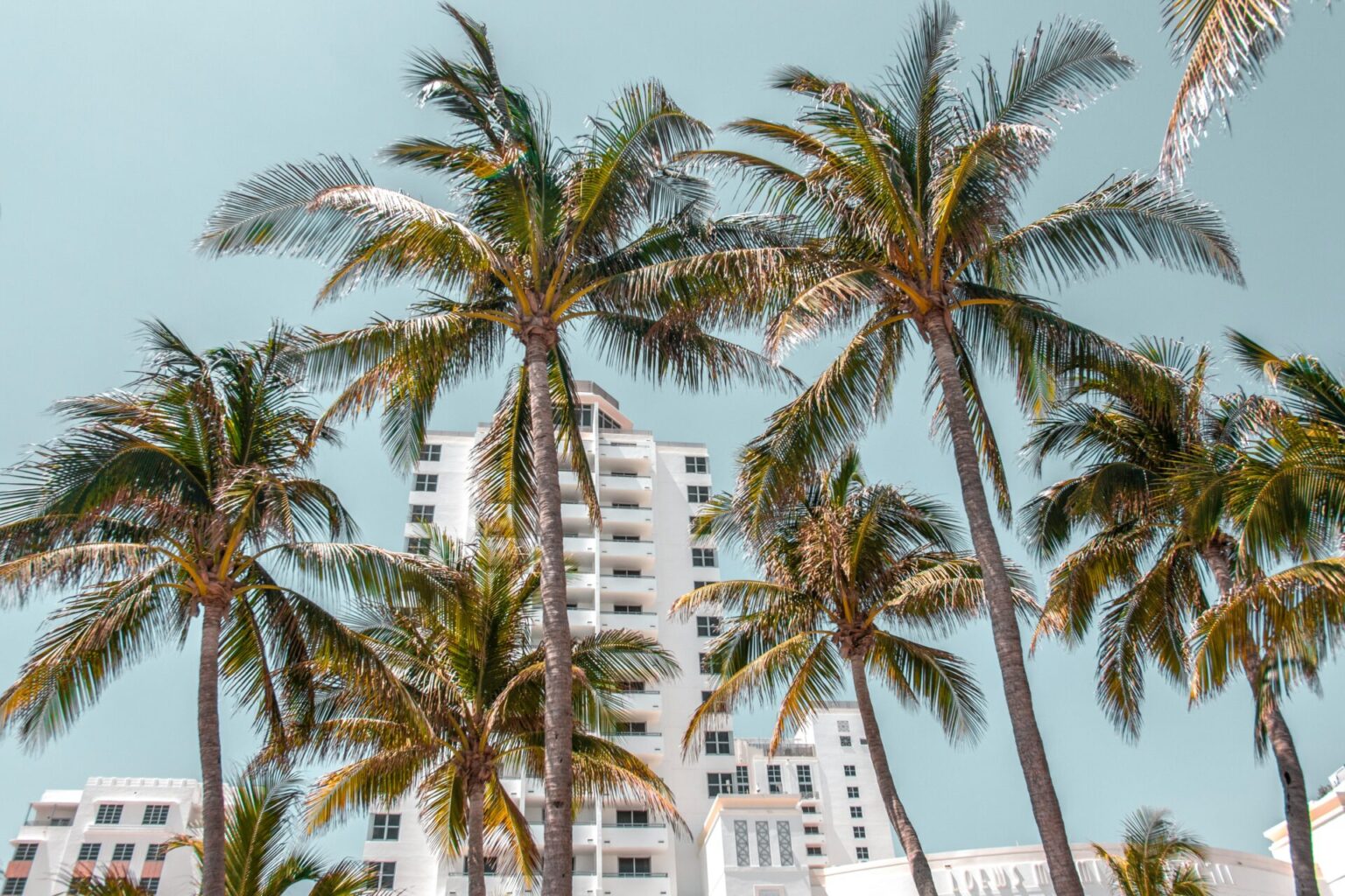 Hurricane Season in Miami: Should You Still Visit? - Bellas Bold Adventures