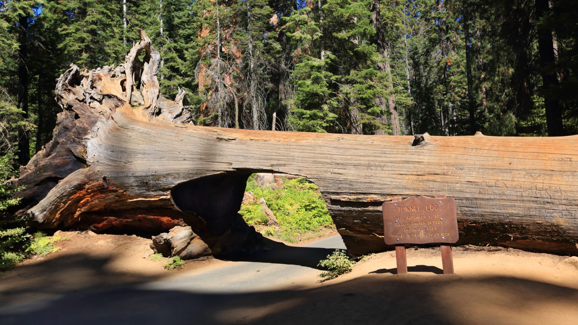 Climbing Moro Rock in Sequoia National Park: My Heart-Pounding Ascent ...