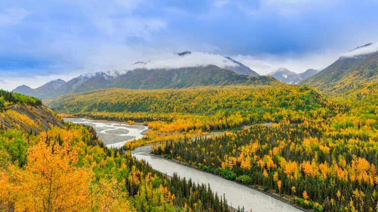 The Midnight Sun: When Canadian Summers Never Really End - Bellas Bold ...