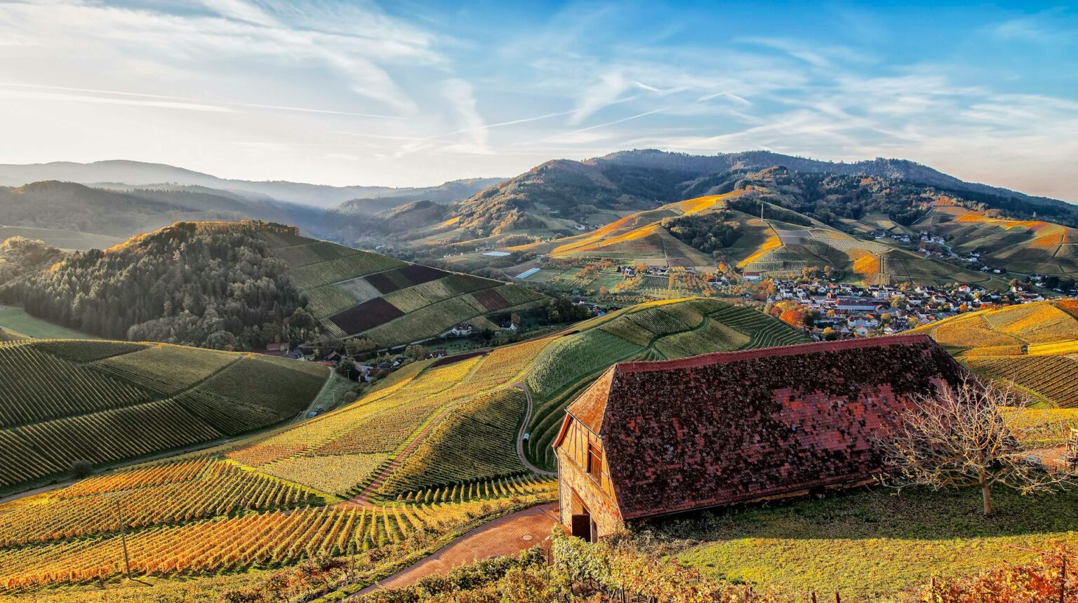 Autumn in Germany: My Guide to Golden Forests (Black Forest!), Wine ...