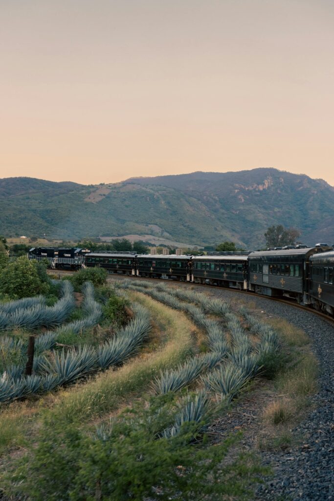 7 Mexican Train Routes That Show the Country's Soul Through Windows ...